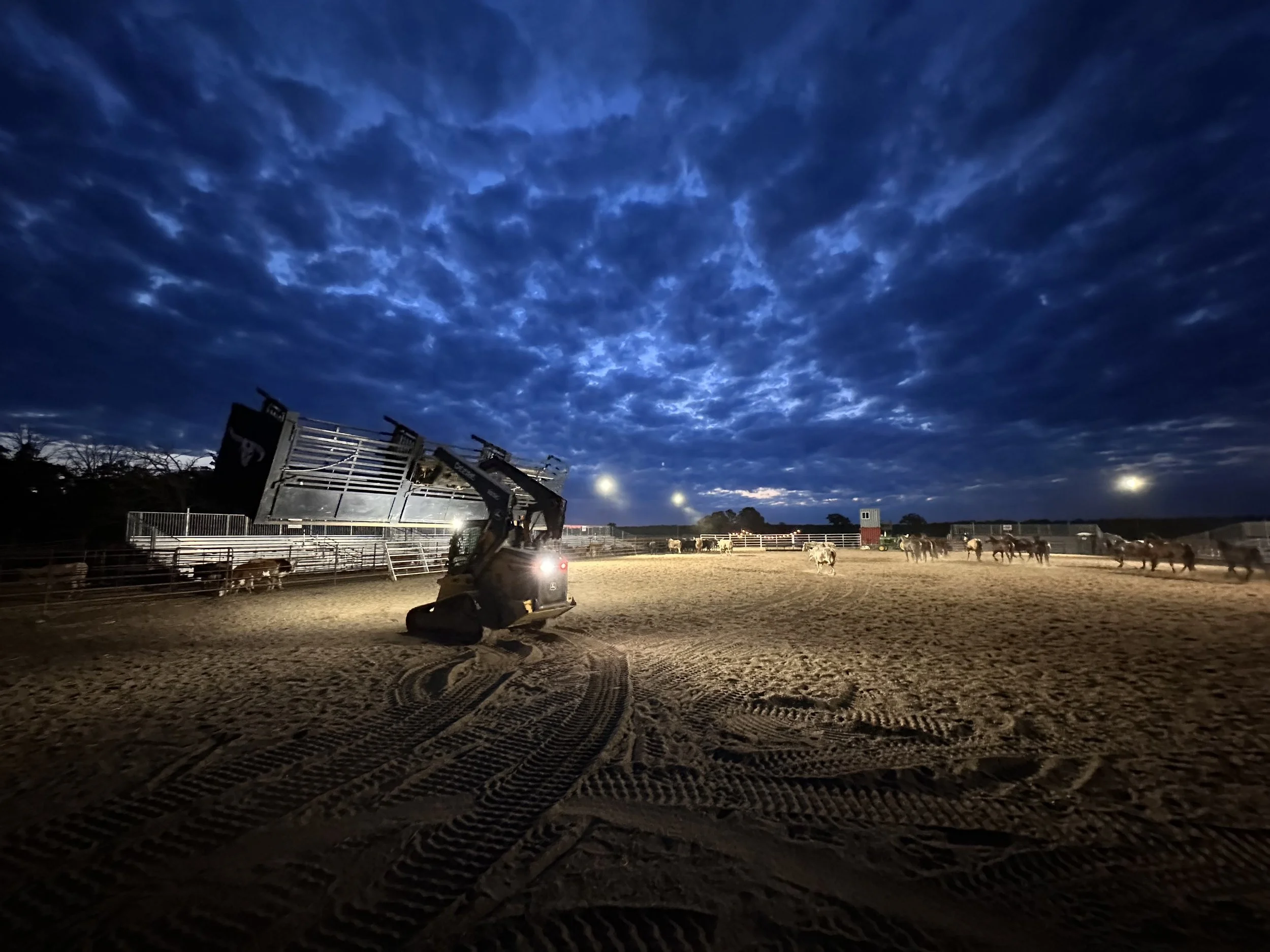 JJ Legacy Cattle Company