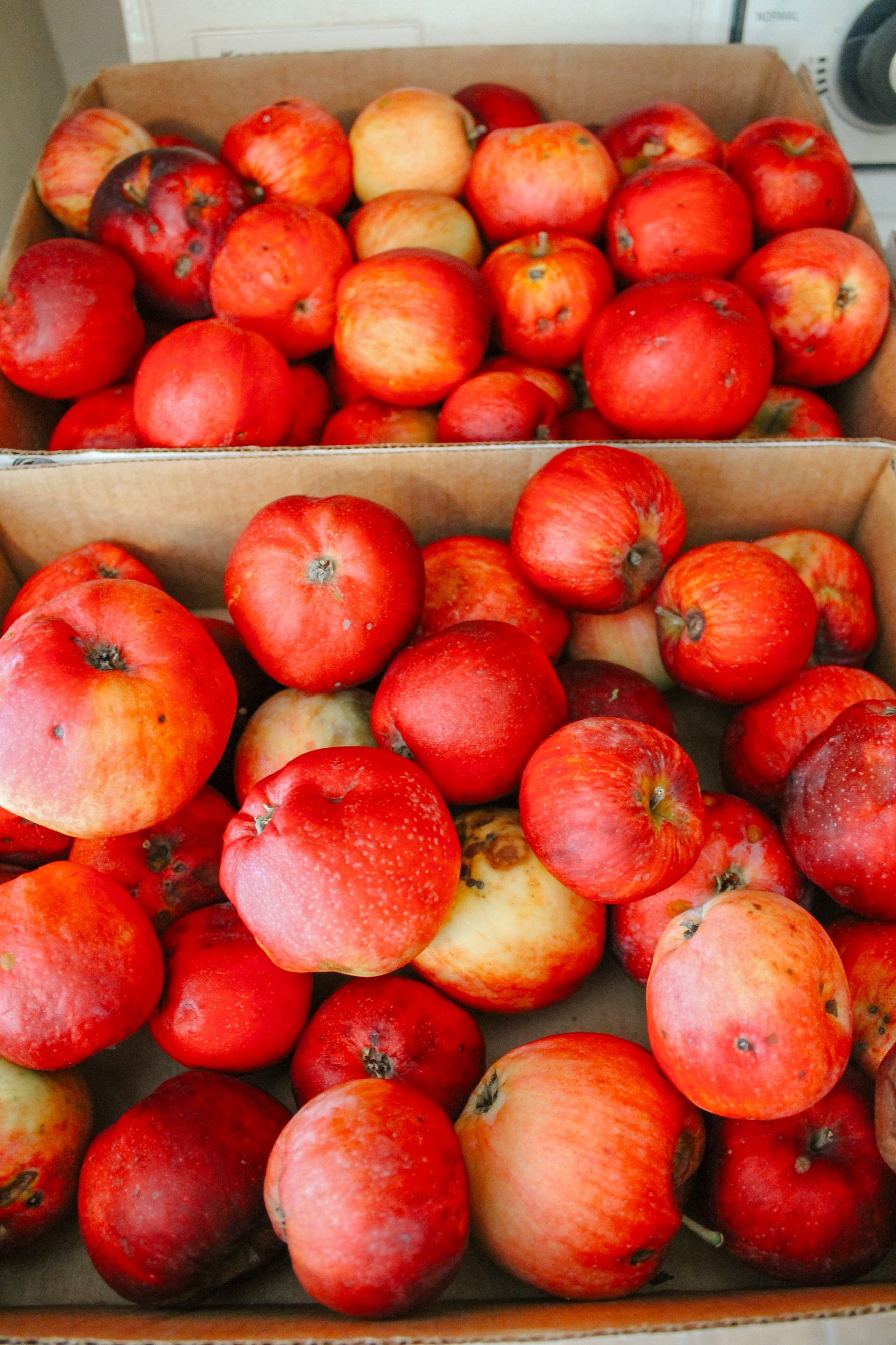 NWA Local Food Guide | Explore Local Food Today