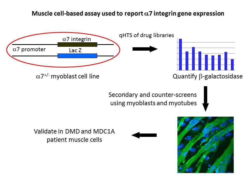 Technology — StrykaGen