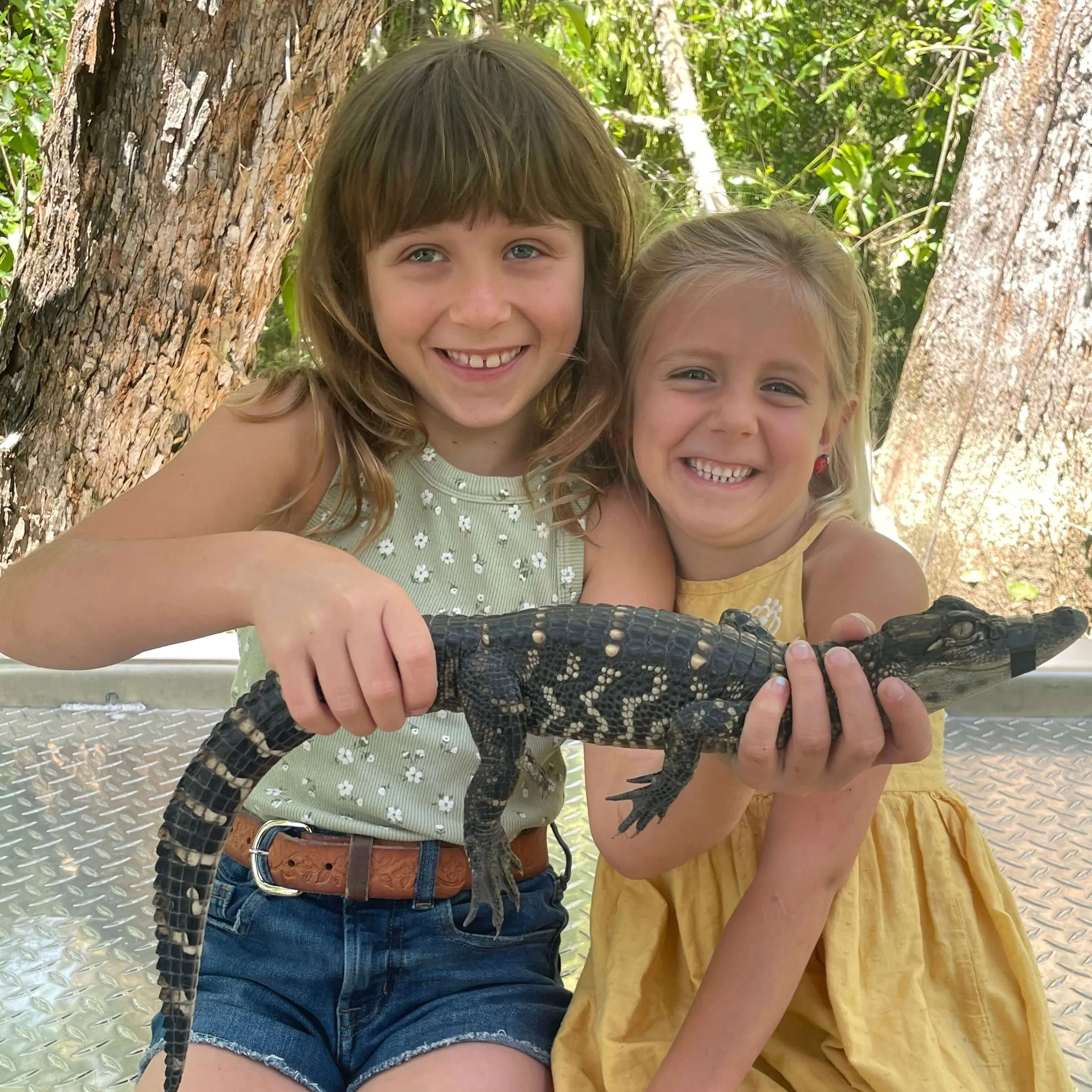 Live Gators, Gifts & Tours