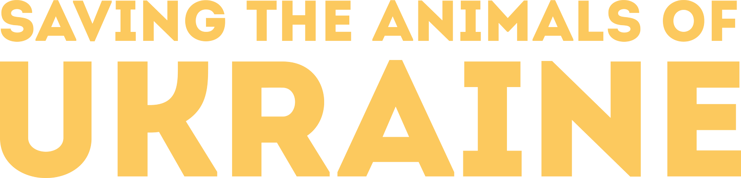 yap films - an award winning independent production company