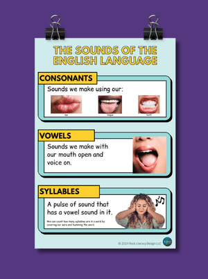 The Reading Brain Poster PDF