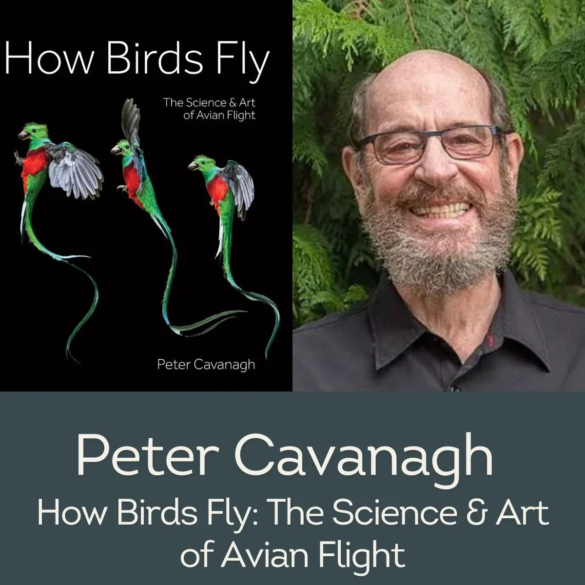 Peter Cavanagh — Sisters Festival of Books