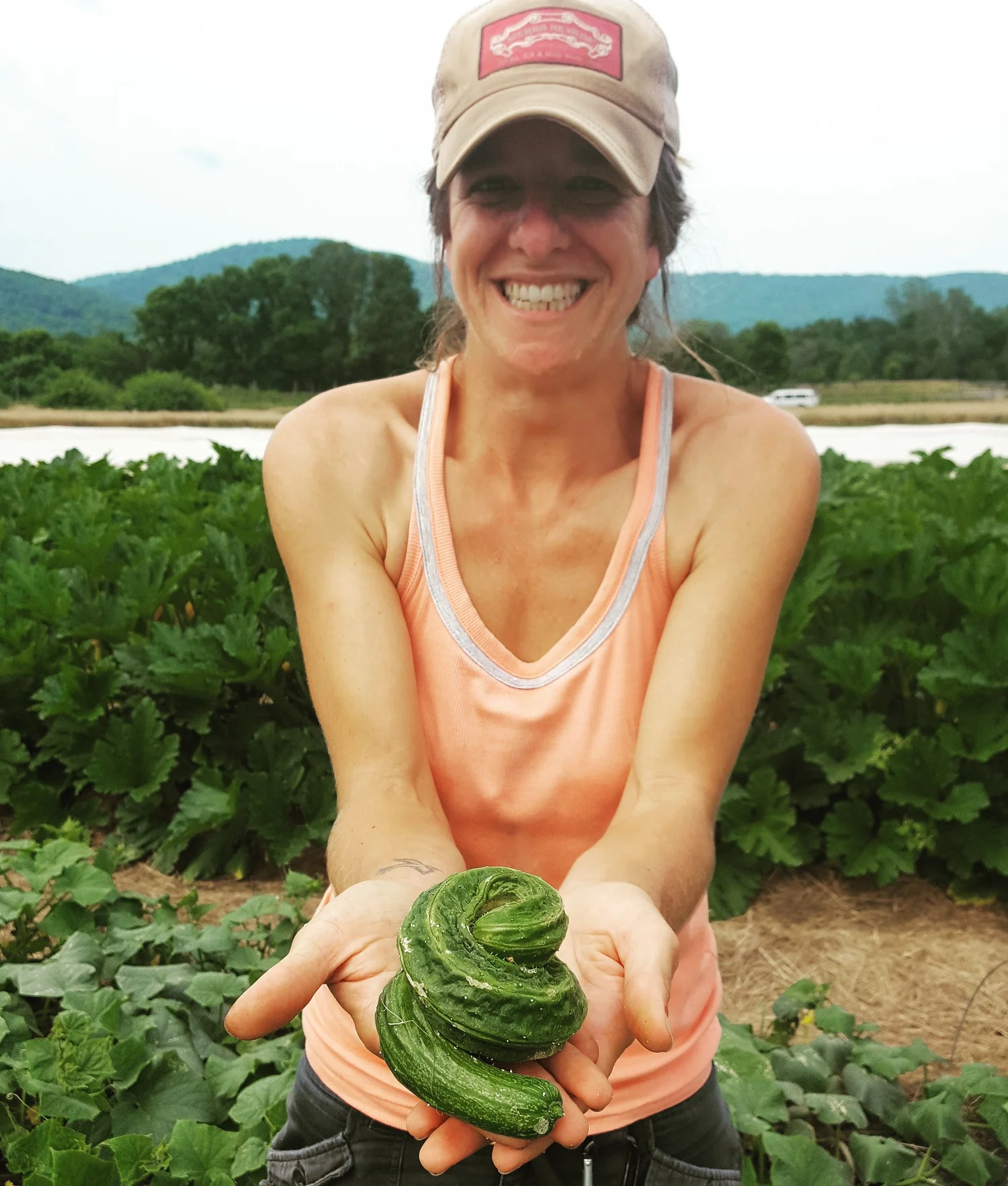 Stacey Carlberg — Not Our Farm