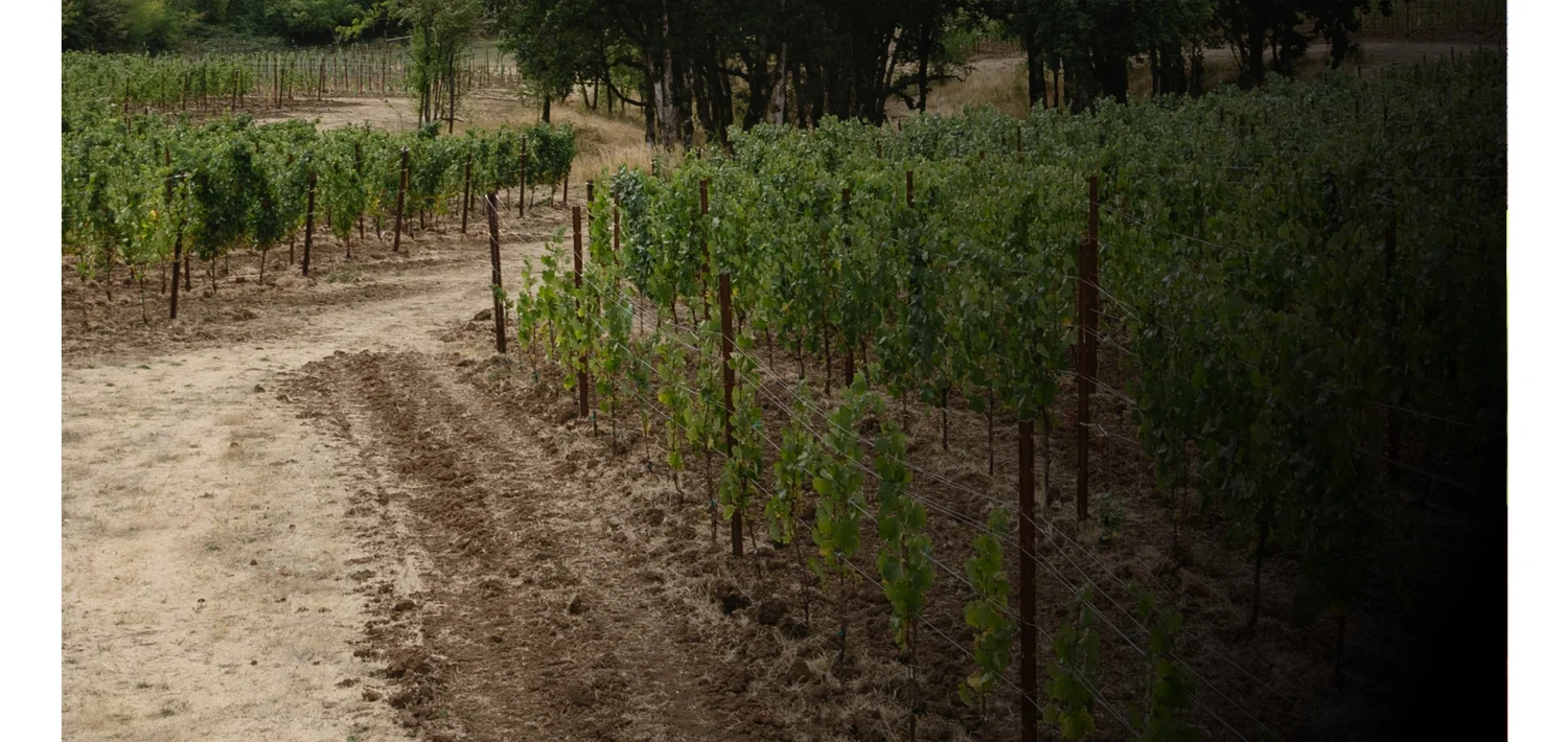 Our Story | Discover Oregon Wines Today — Limited Addition Wines ...