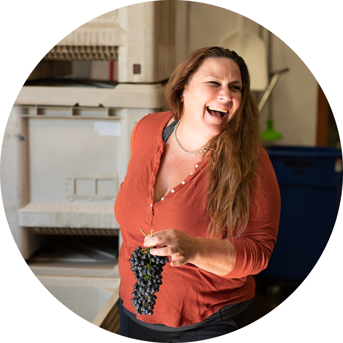 Our Story — Limited Addition Wines | Handcrafted Oregon Wines in Gaston