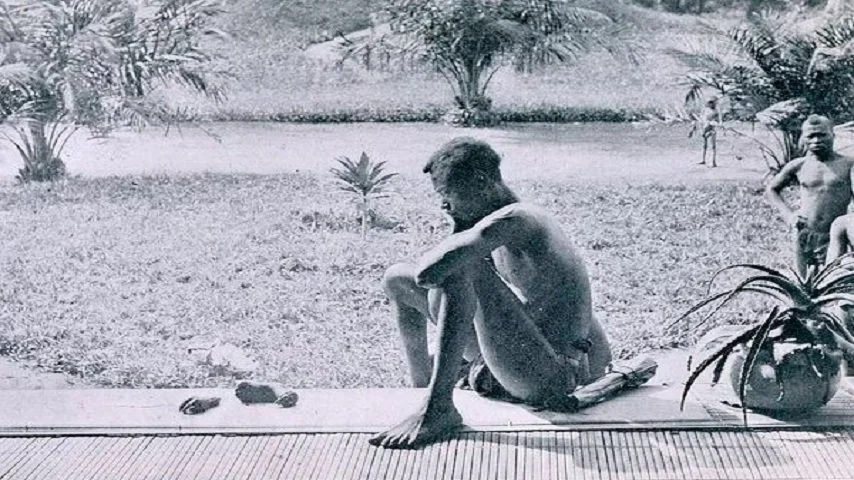 Congo Free State — Perspectives in History