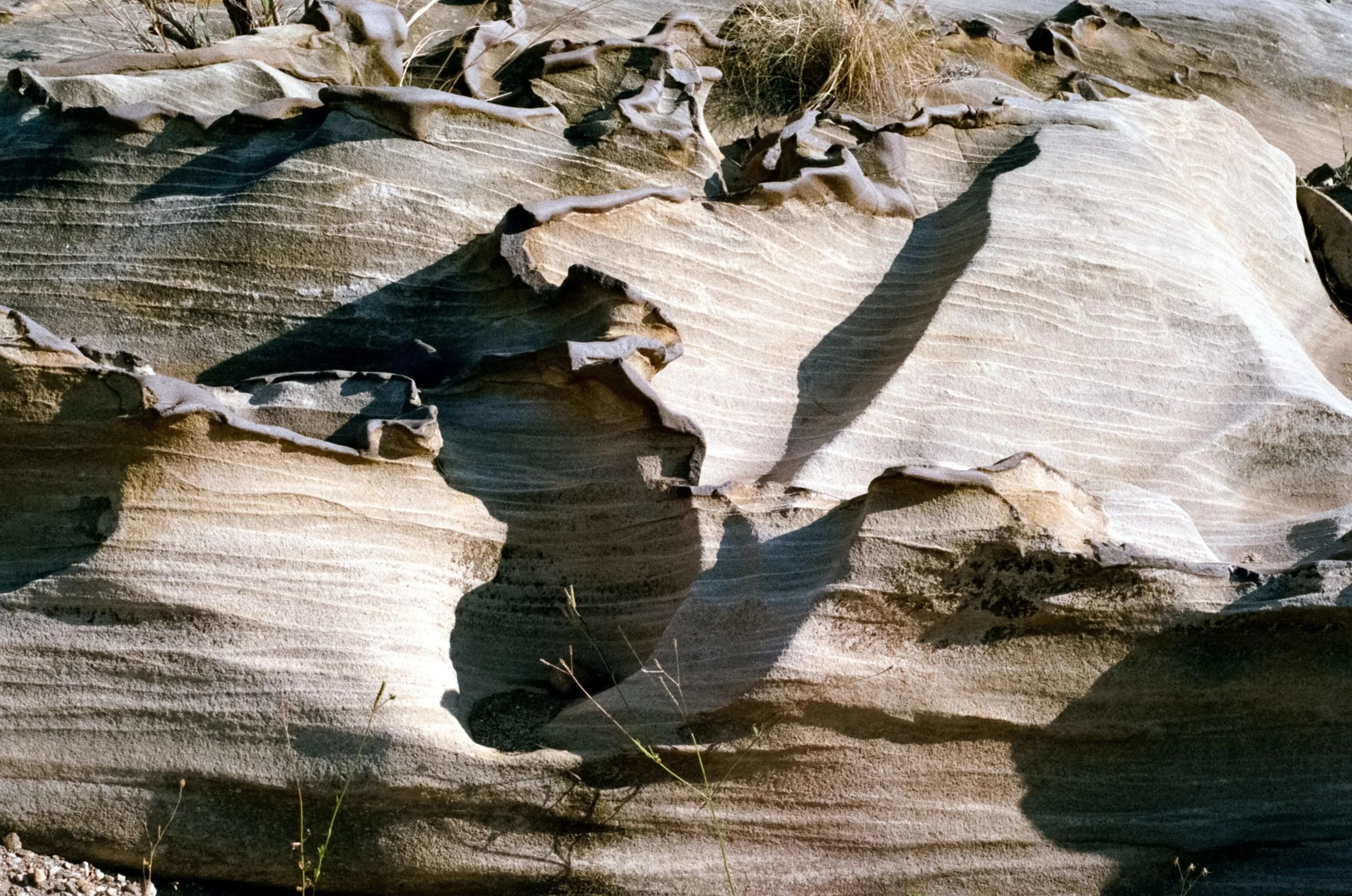 say a prayer at the stones of home — BEATRICE THE POTTER