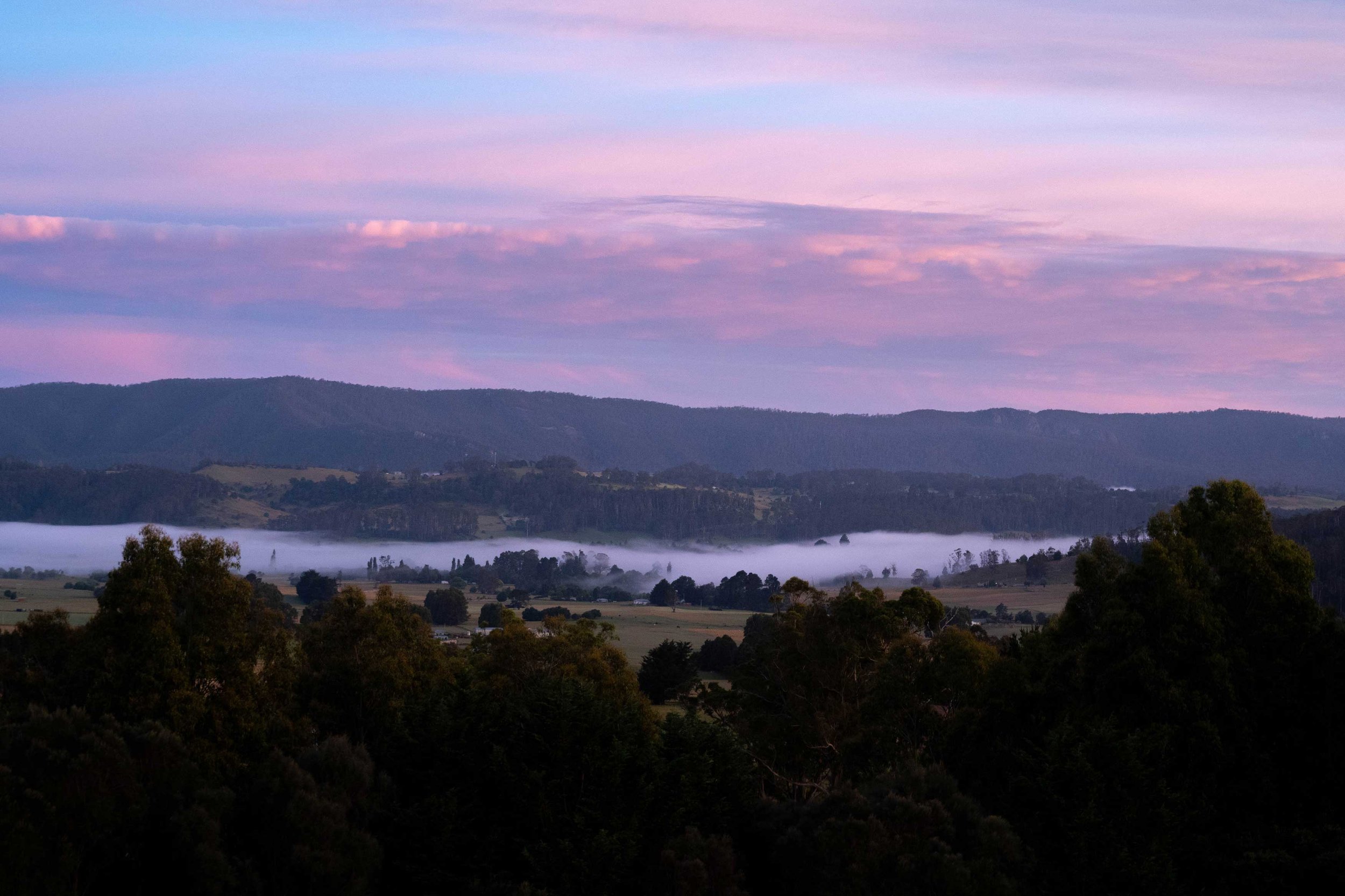 Store — Springfield Deer Farm