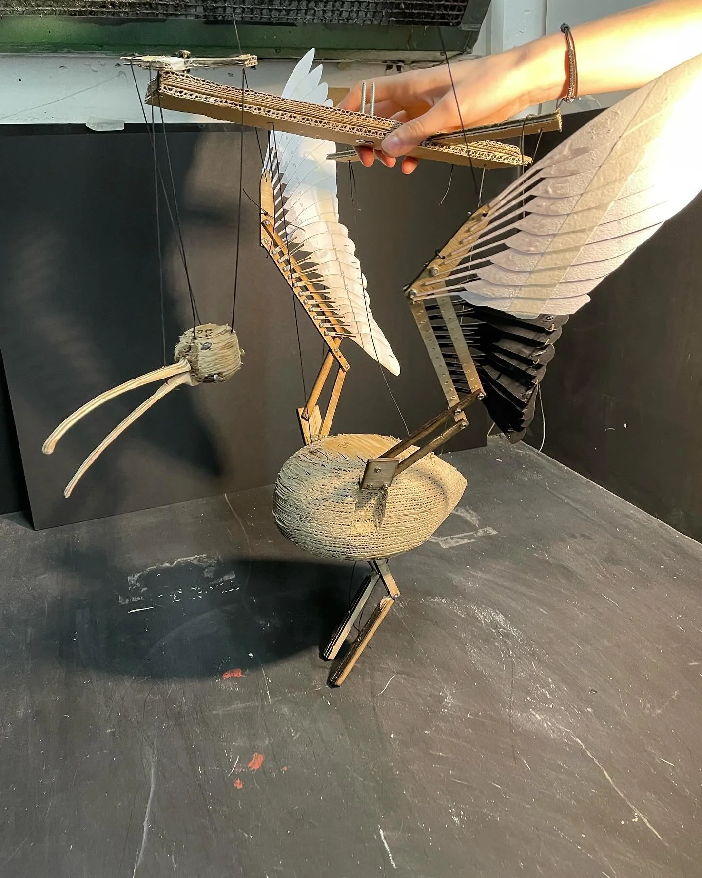 Nico Venables Puppetry