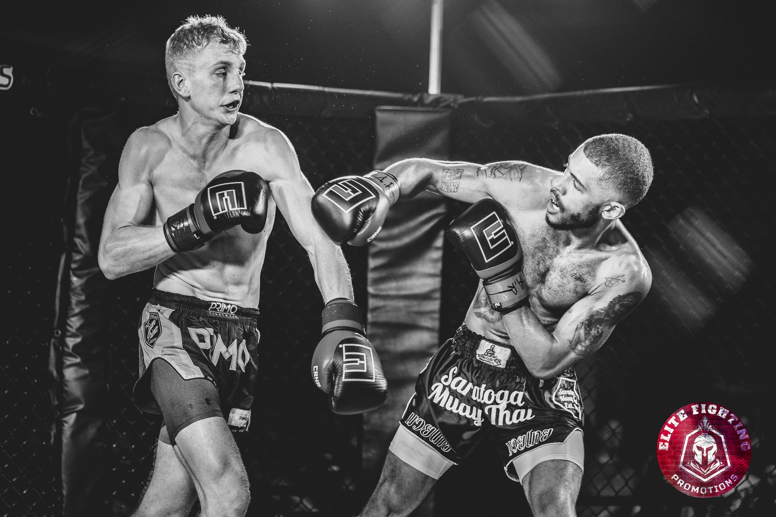 Elite Fighting Promotions