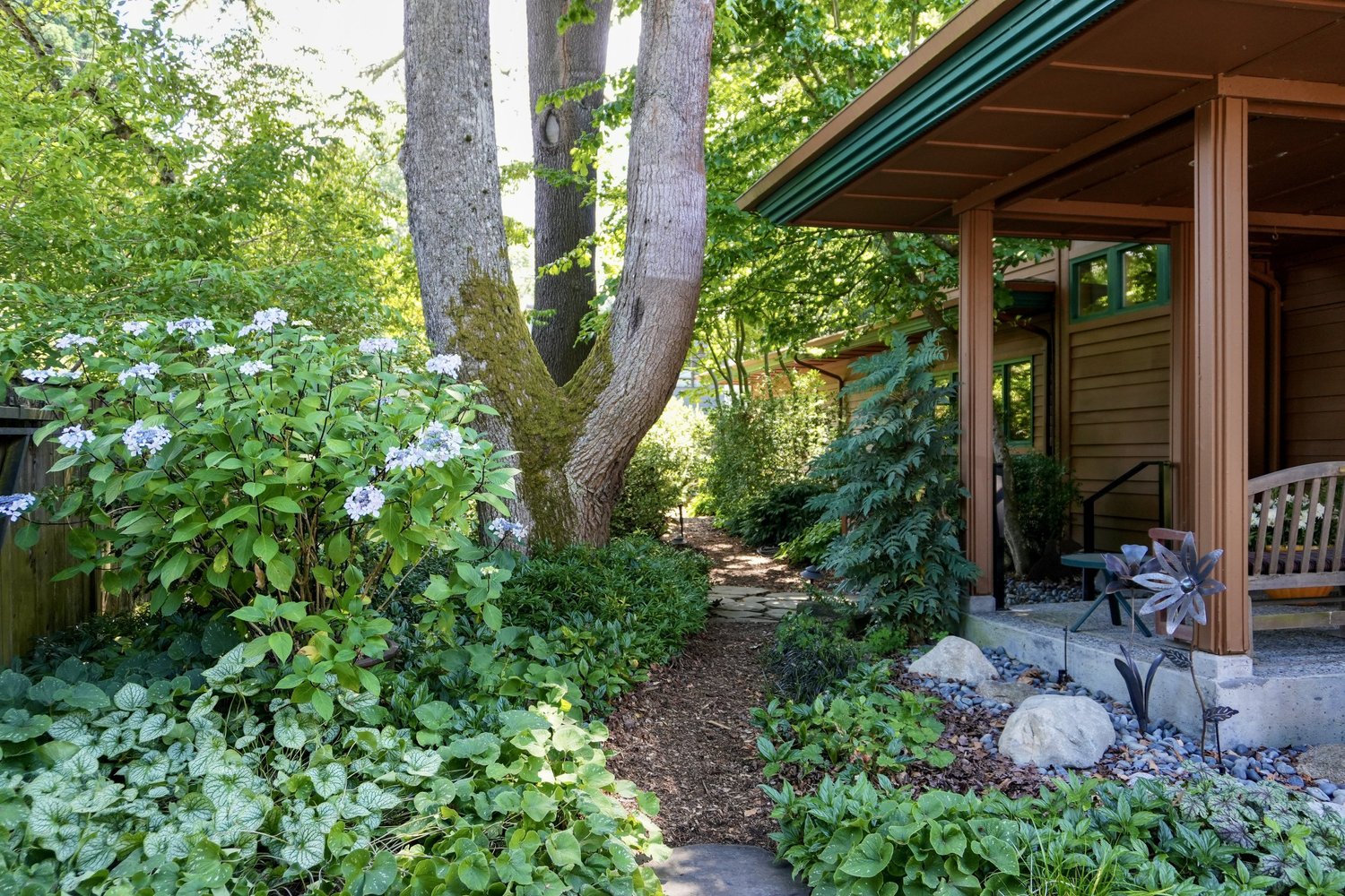 General 2 — LACEWING