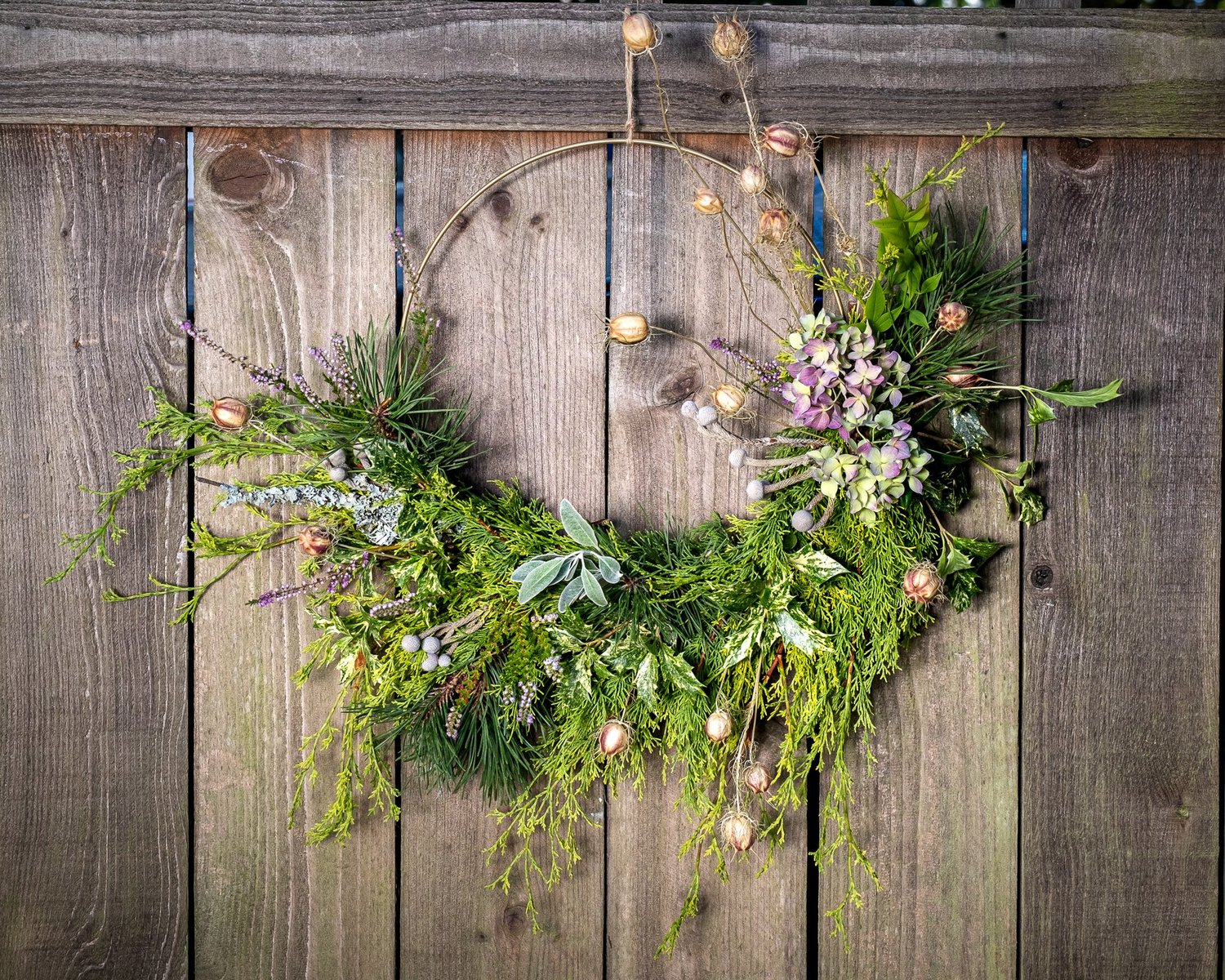 General 2 — LACEWING