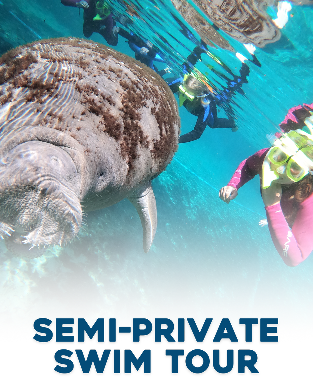 Manatee Swim Center