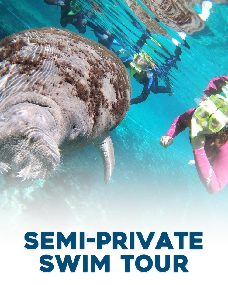 Manatee Swim Center