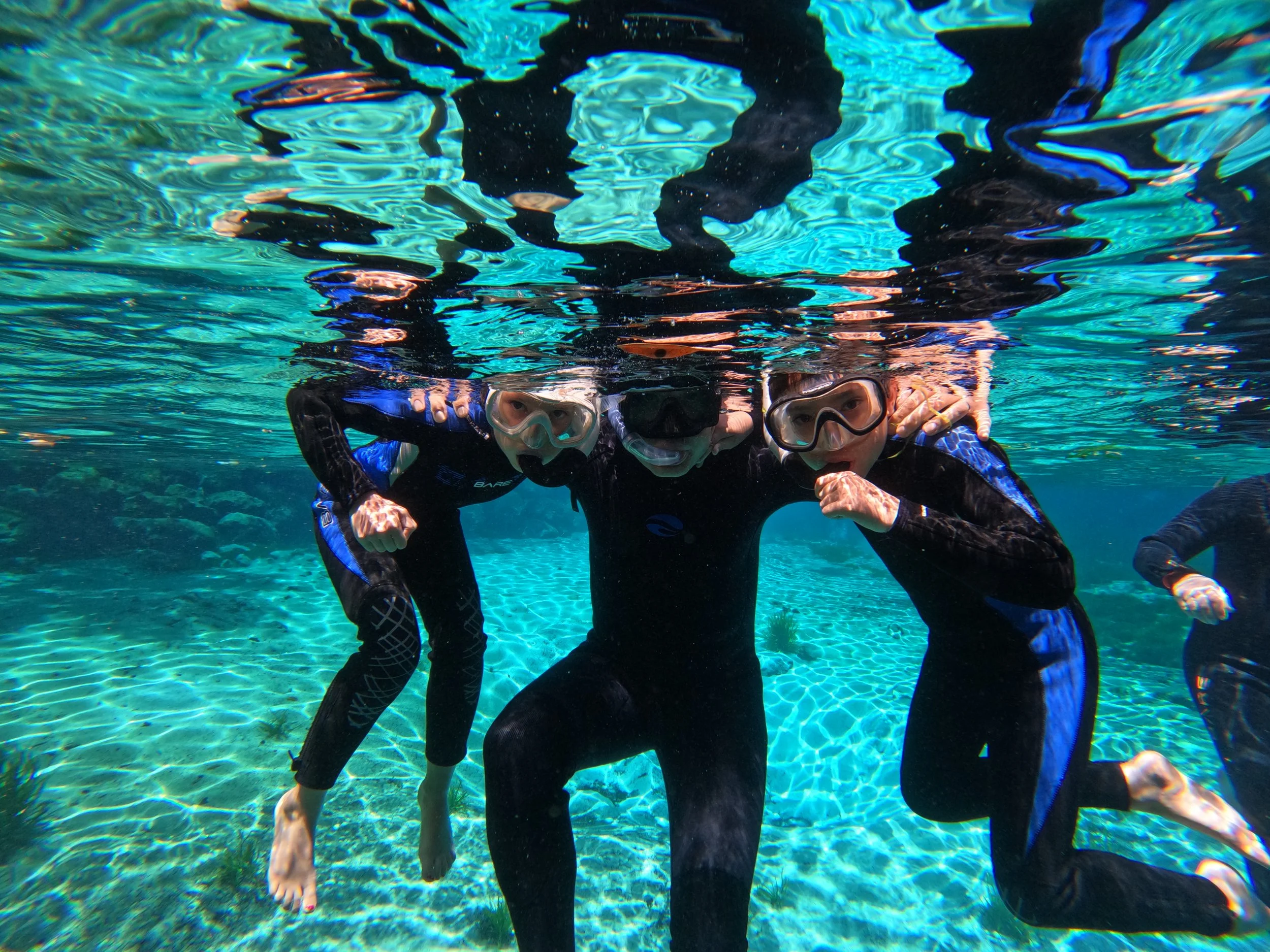 Photos — Manatee Swim Center