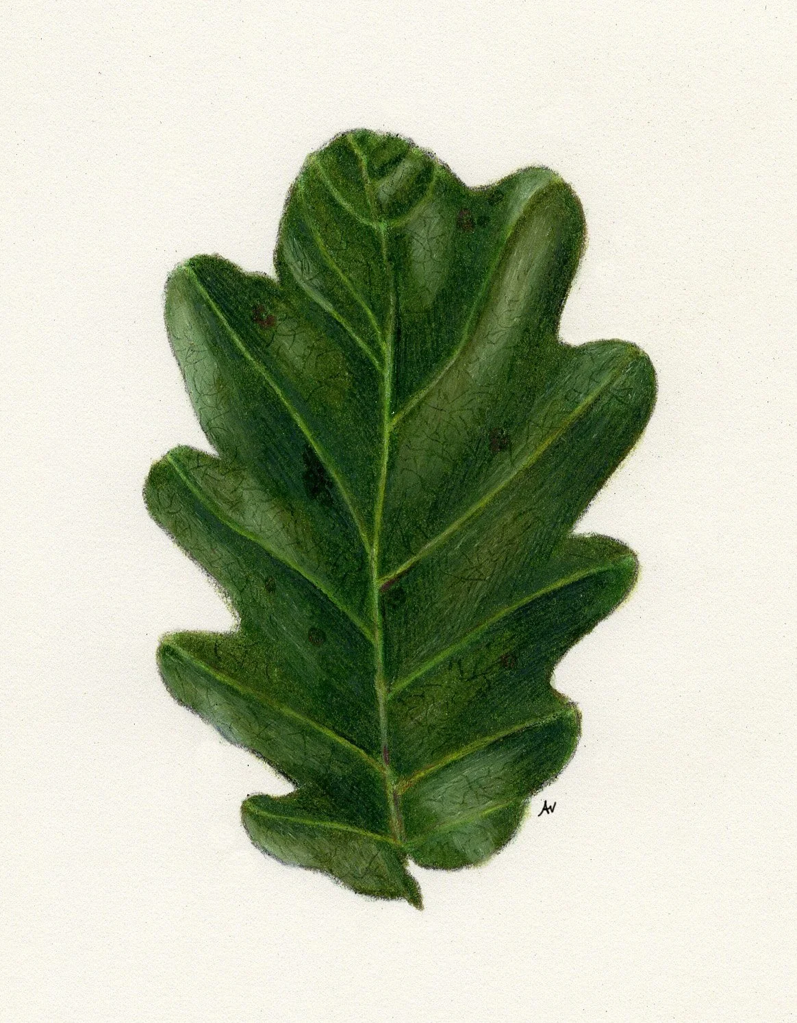 Rose Island, Newport Rhode Island