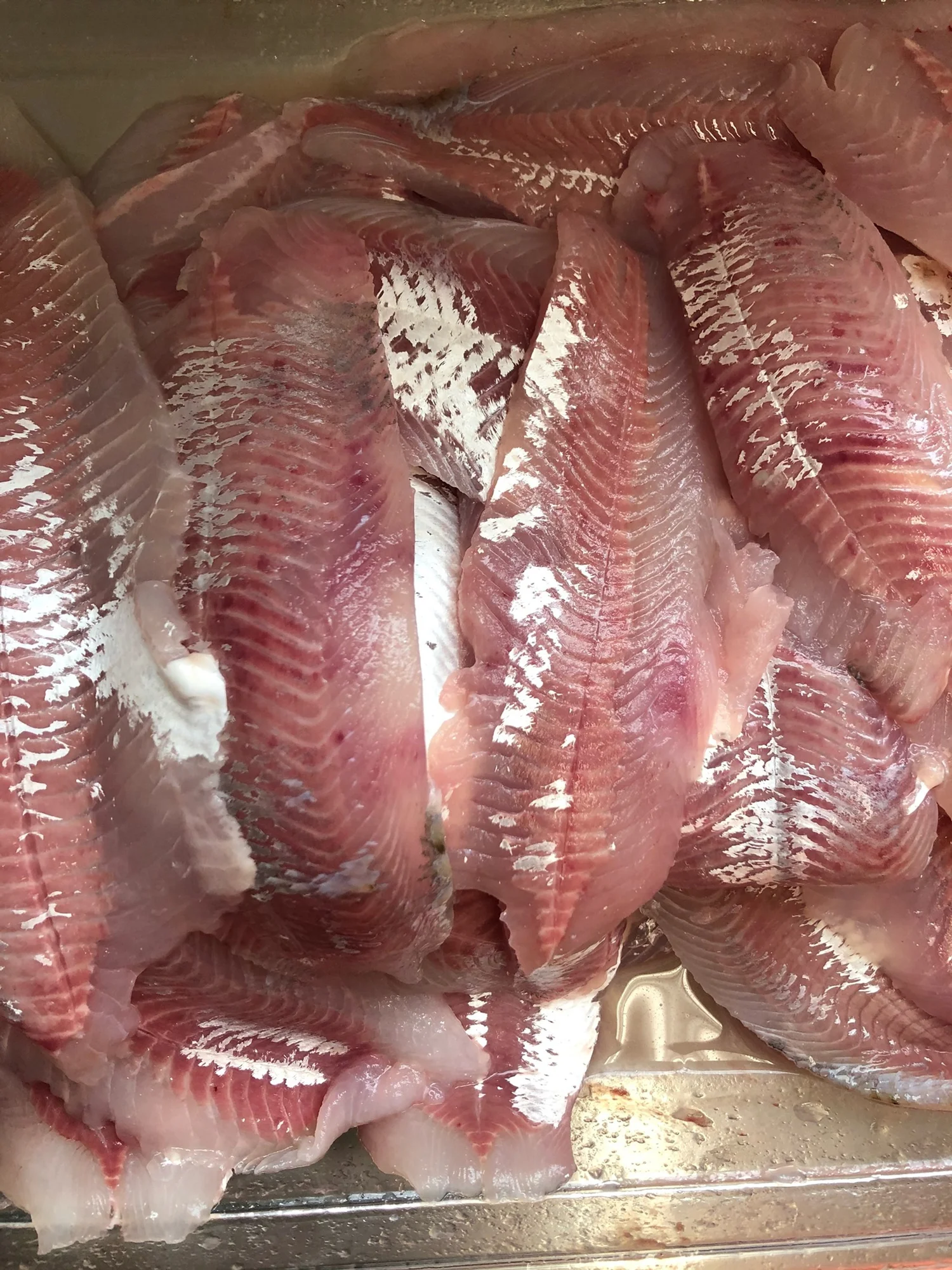 Store — Smith's Fish Ltd.