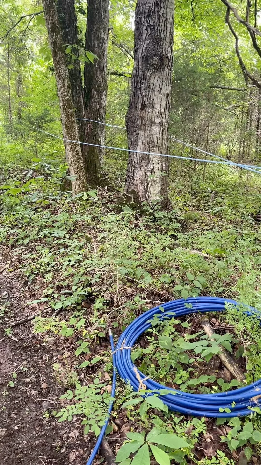 Maple Grove Farm | 100% Pure Maple Syrup | Gift Boxes | Seasonings ...