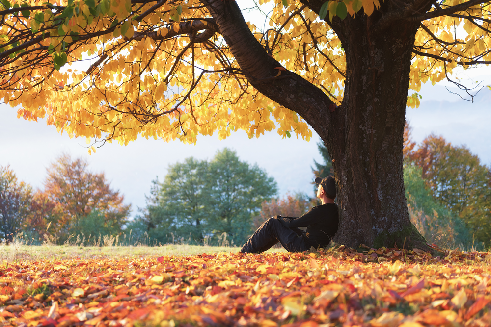 Emotional guidance — Grief and Loss Toolkit