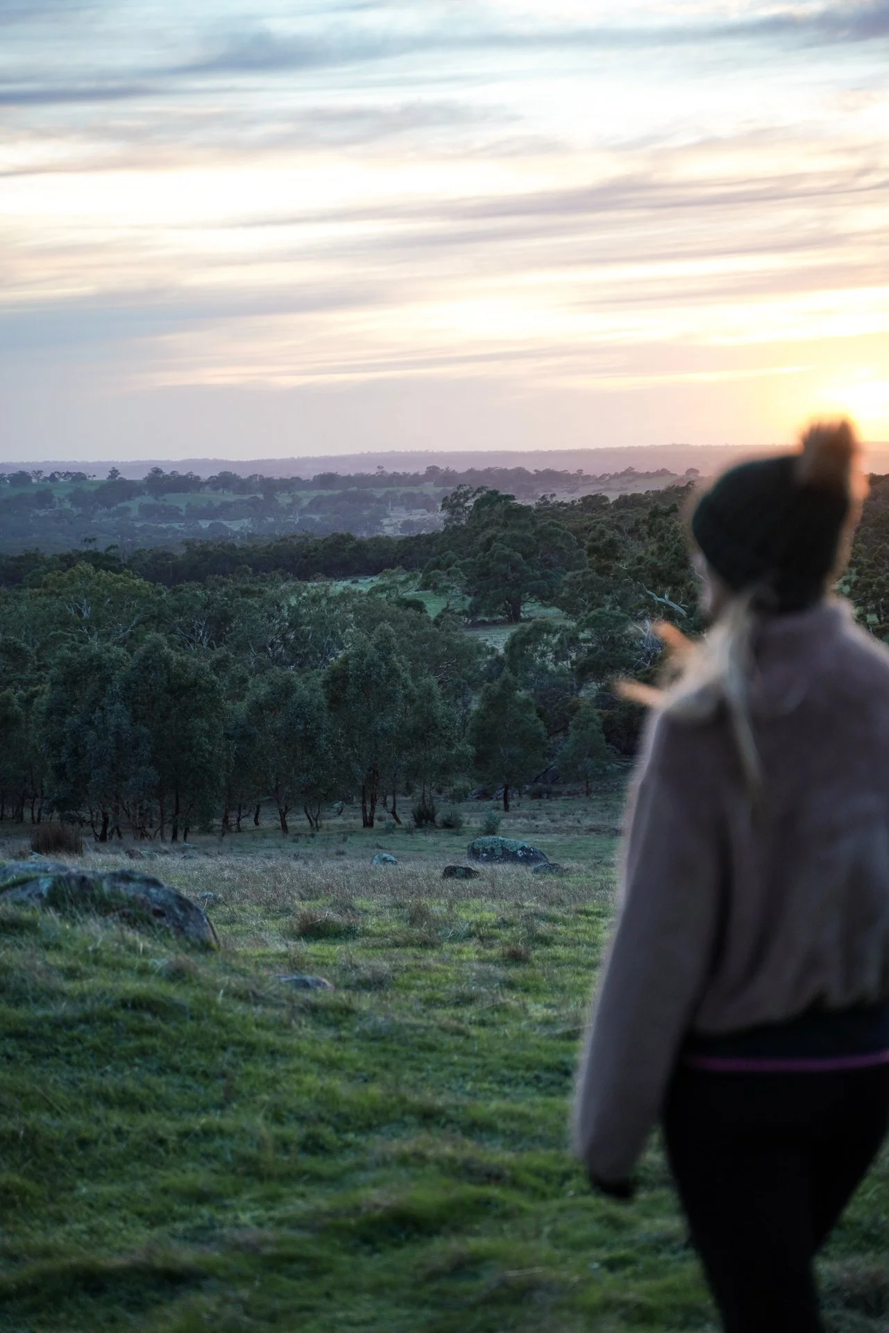 Day Retreats — Beyond Wellness