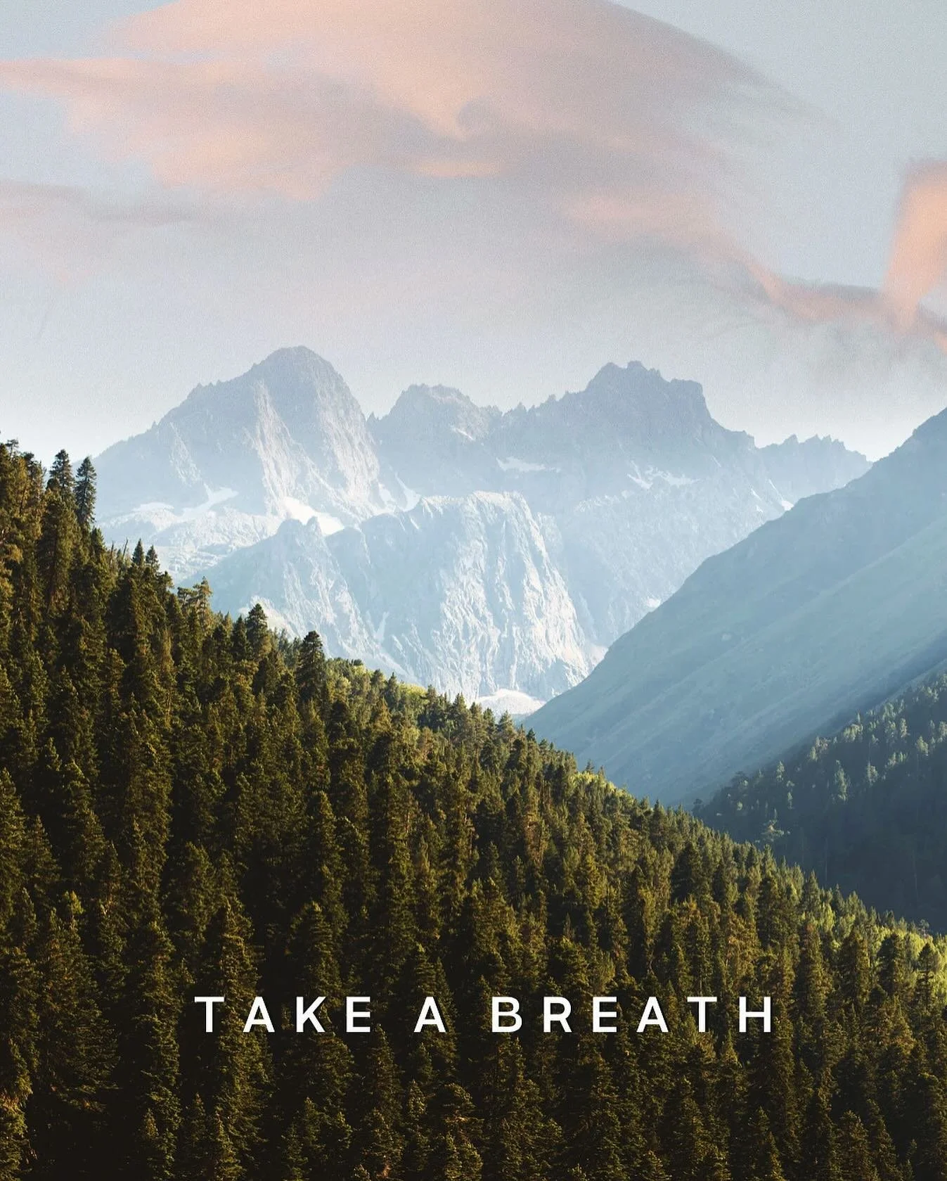 Think Everyday Brands