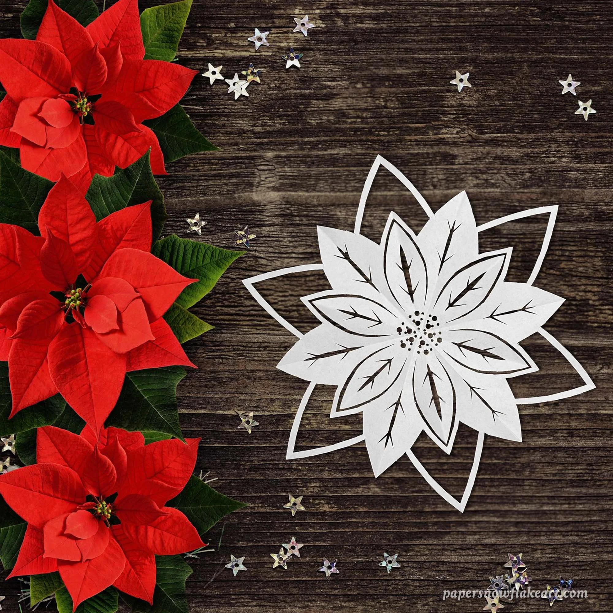 Valentine's Day Paper Snowflake Bundle (10 Paper Snowflake Patterns ...