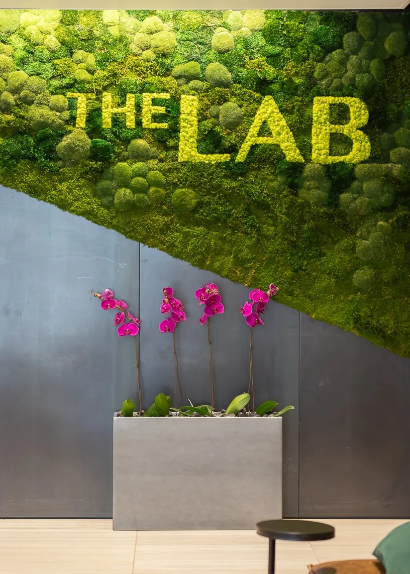 Interior & Exterior Plant Services | Bristol Botanics | Denver, CO