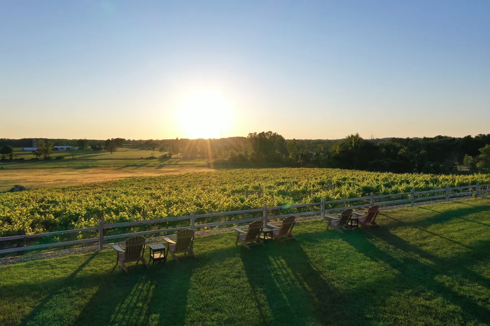 Stoney Ridge Vineyards