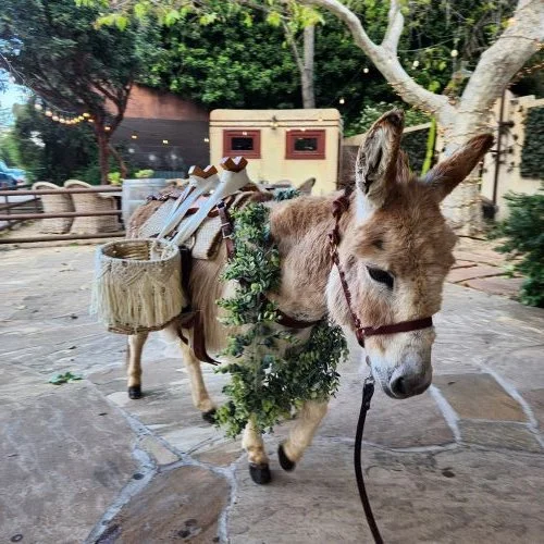 White Horse Carriage Co.