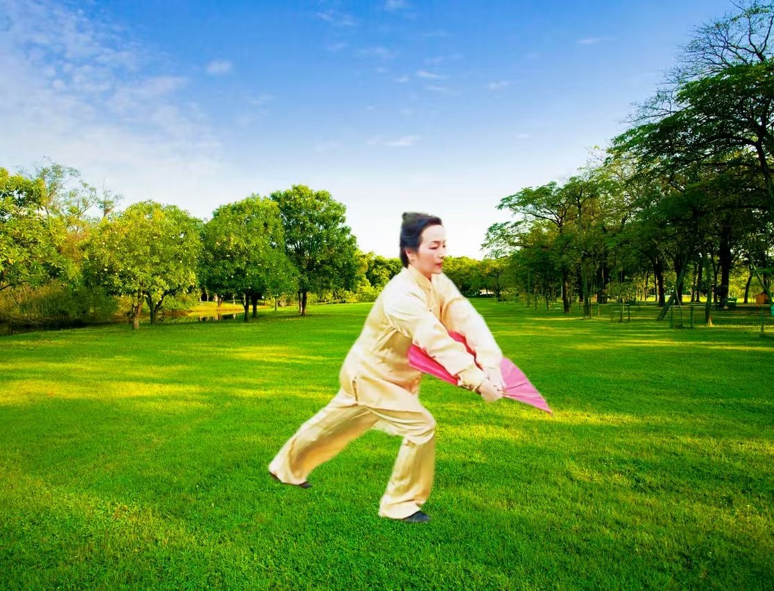 New Tai Chi Fan — Oriental Fitness Institute