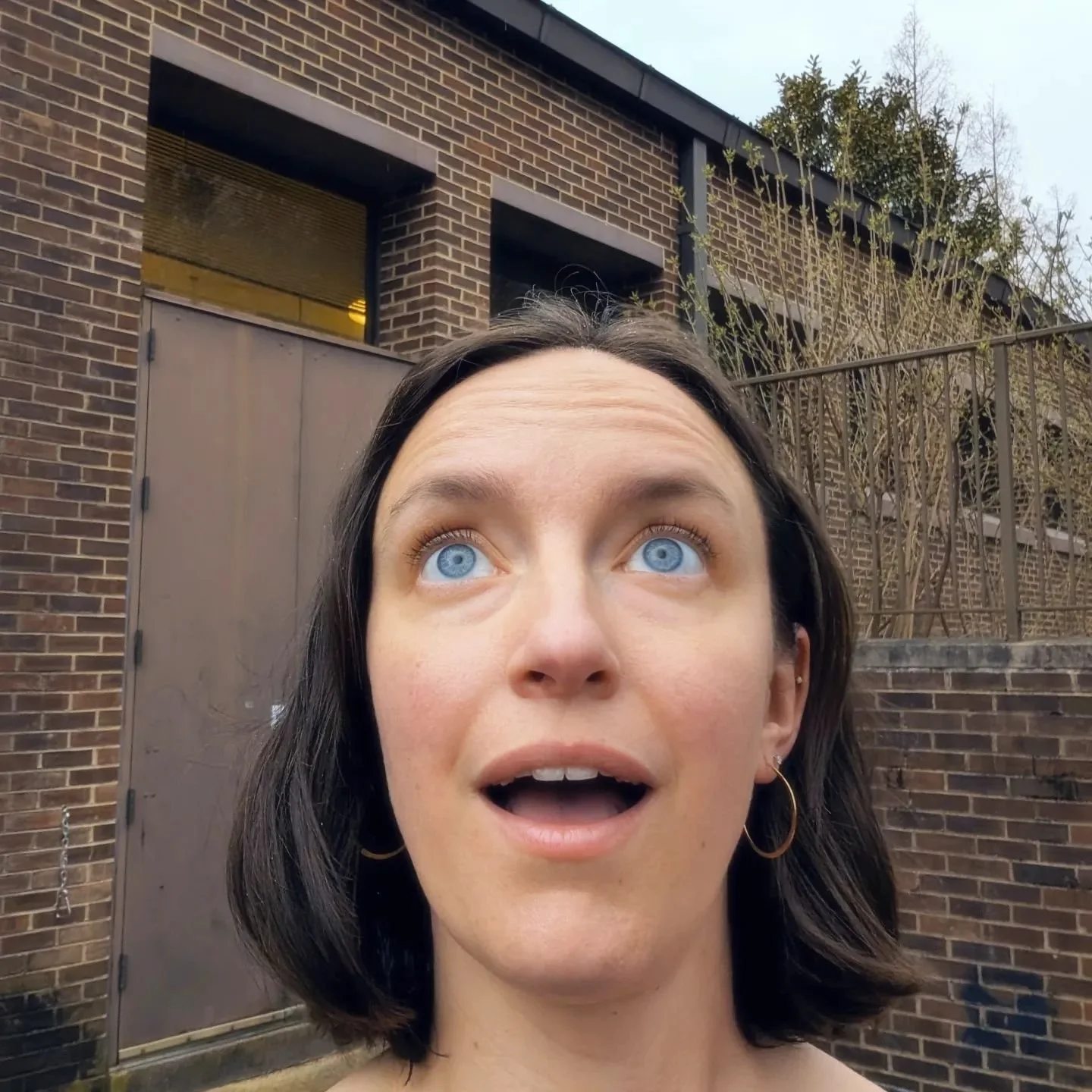 MAS Voice for Singing Lessons, Voice Therapy, Gender Affirming Voice ...