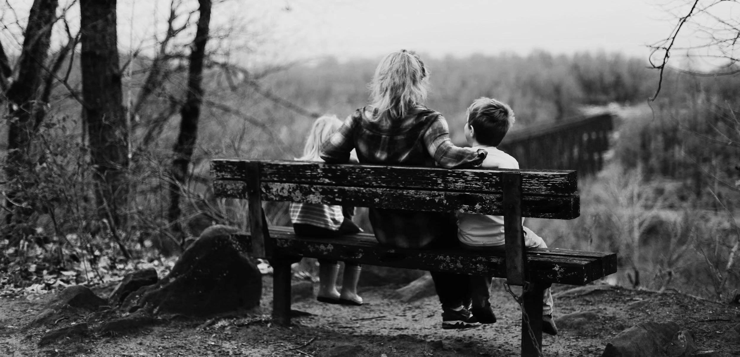 Virginia Legal Aid Society