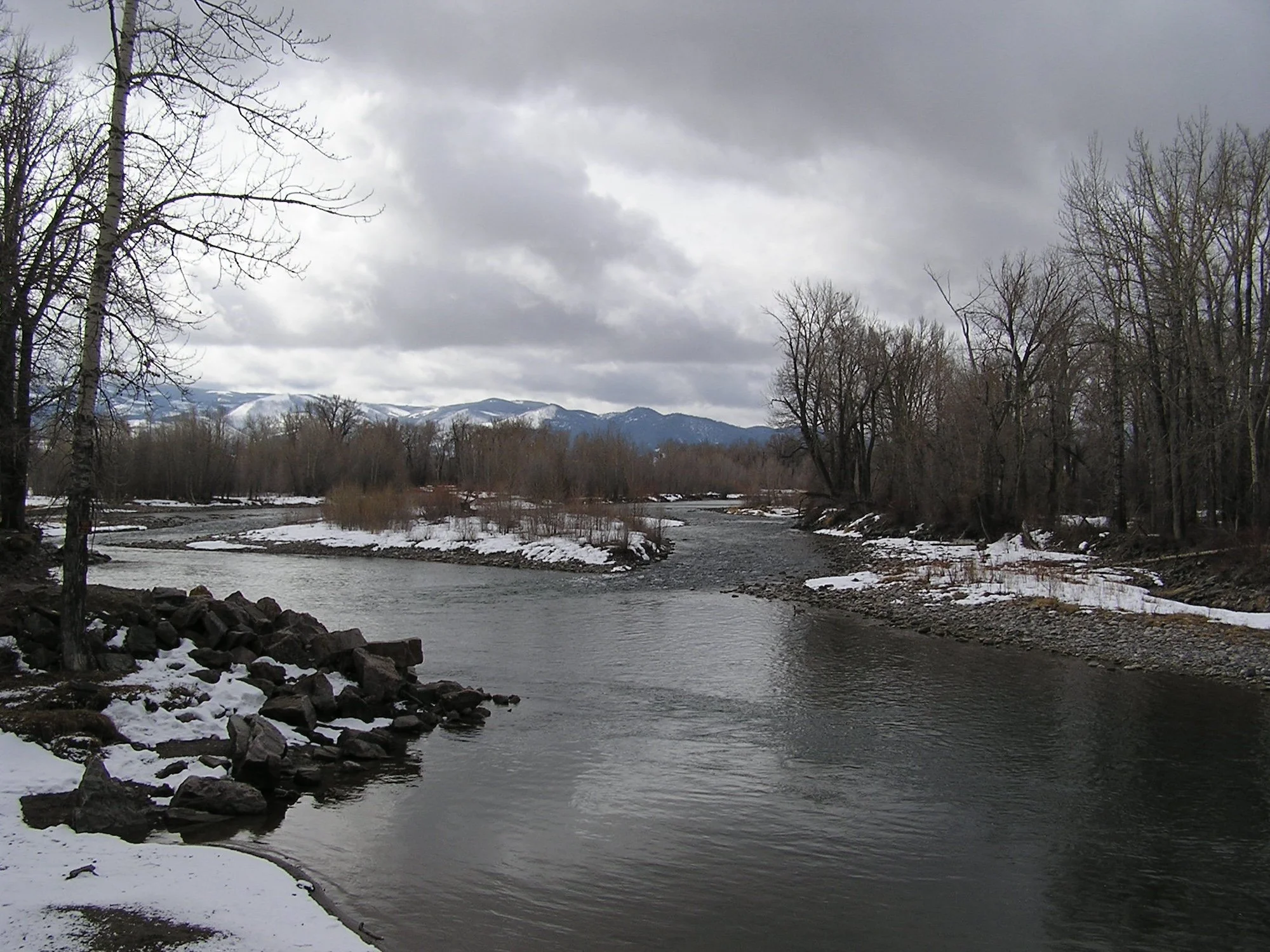 Gallatin River — Montana TroutChasers