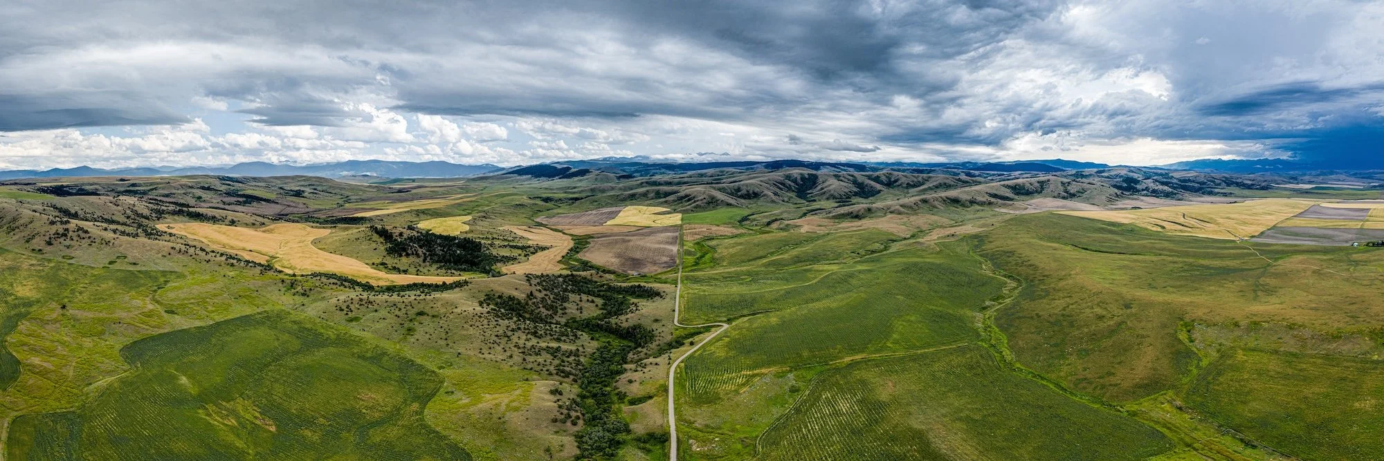 Gallatin River — Montana TroutChasers