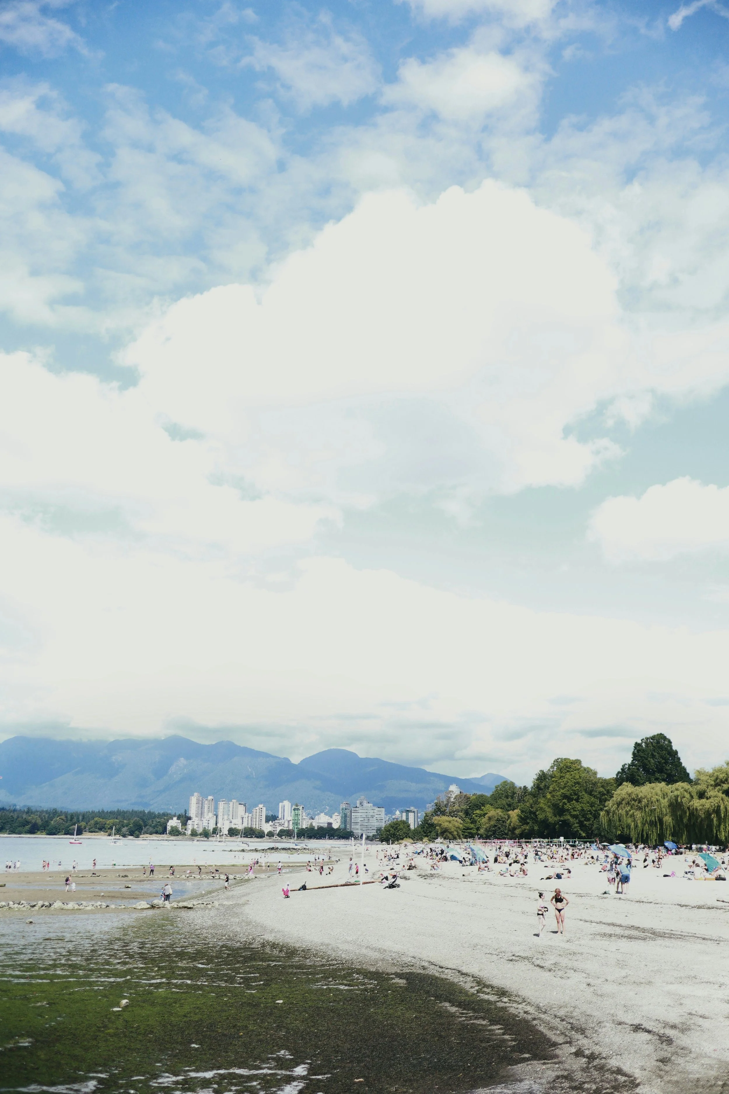Vancouver Westside Living | Homes For Sale Vancouver Westside