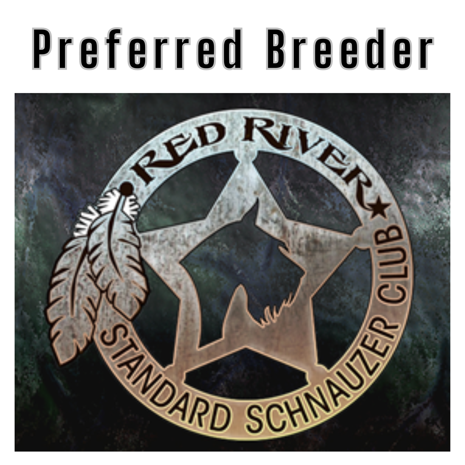 Breeders — Red River Standard Schnauzer Club of Texas