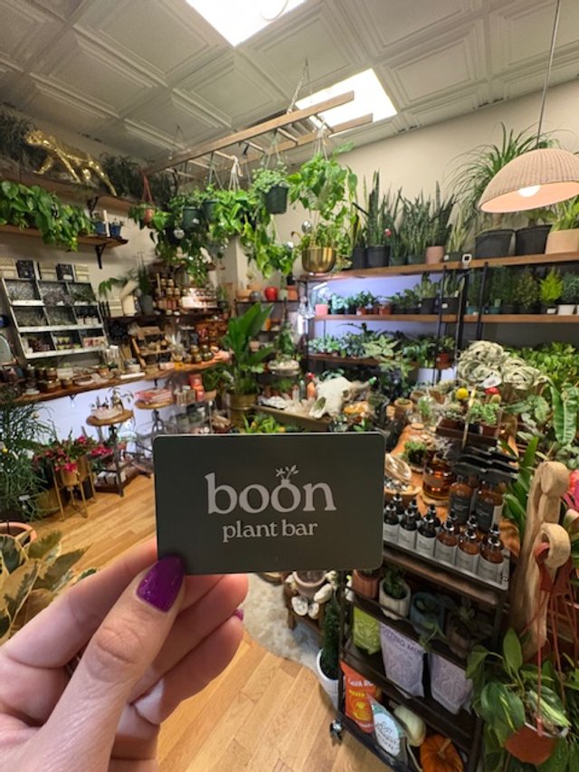 Boon Plant & Flower Bar