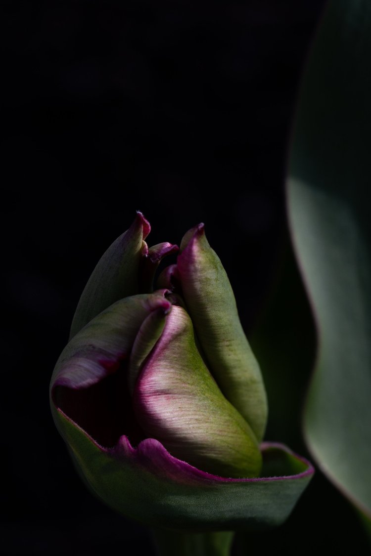 Caitlin Manning | Photography