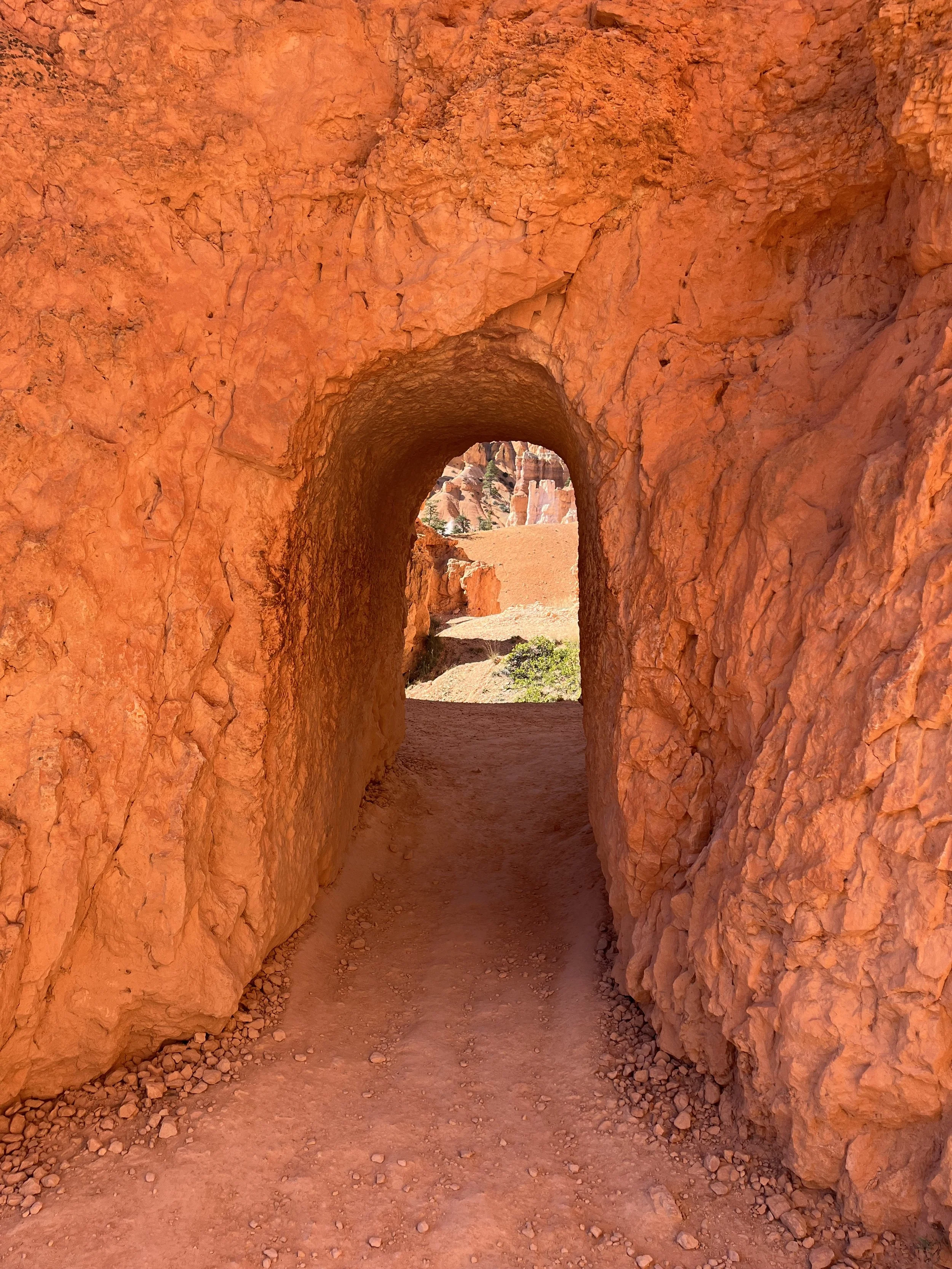 Services — CE-CERT Model