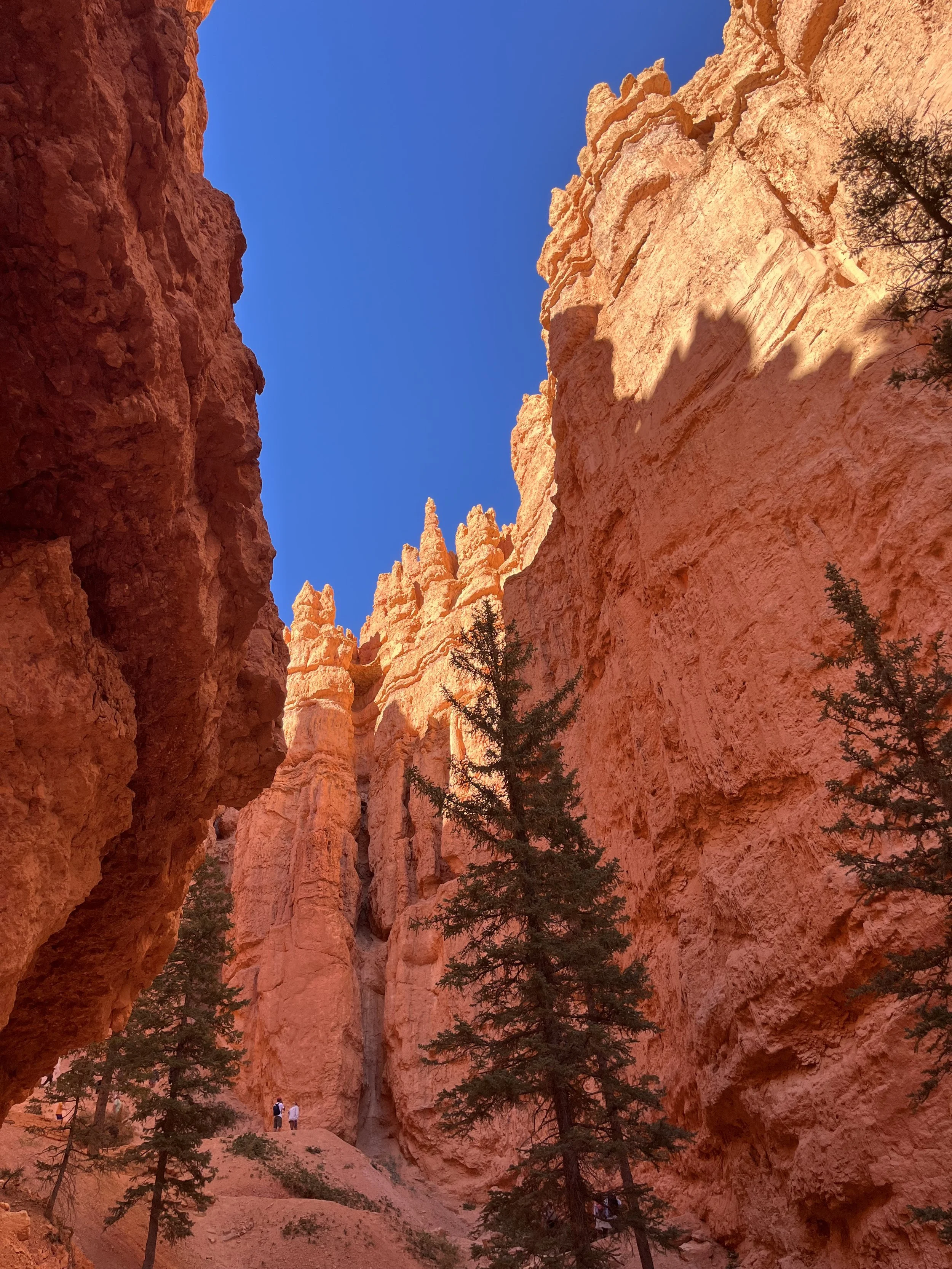 Services — CE-CERT Model