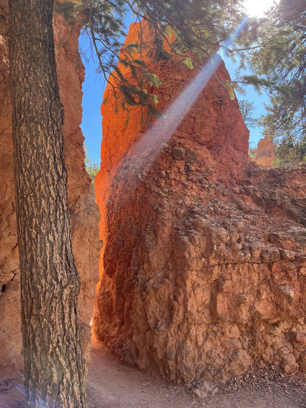 Services — CE-CERT Model