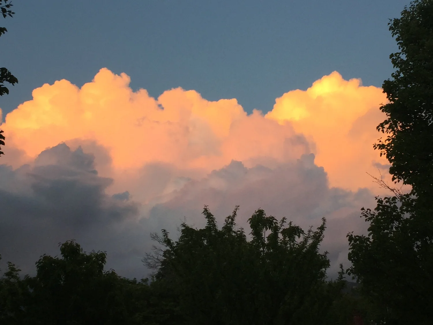 Home — CE-CERT Model