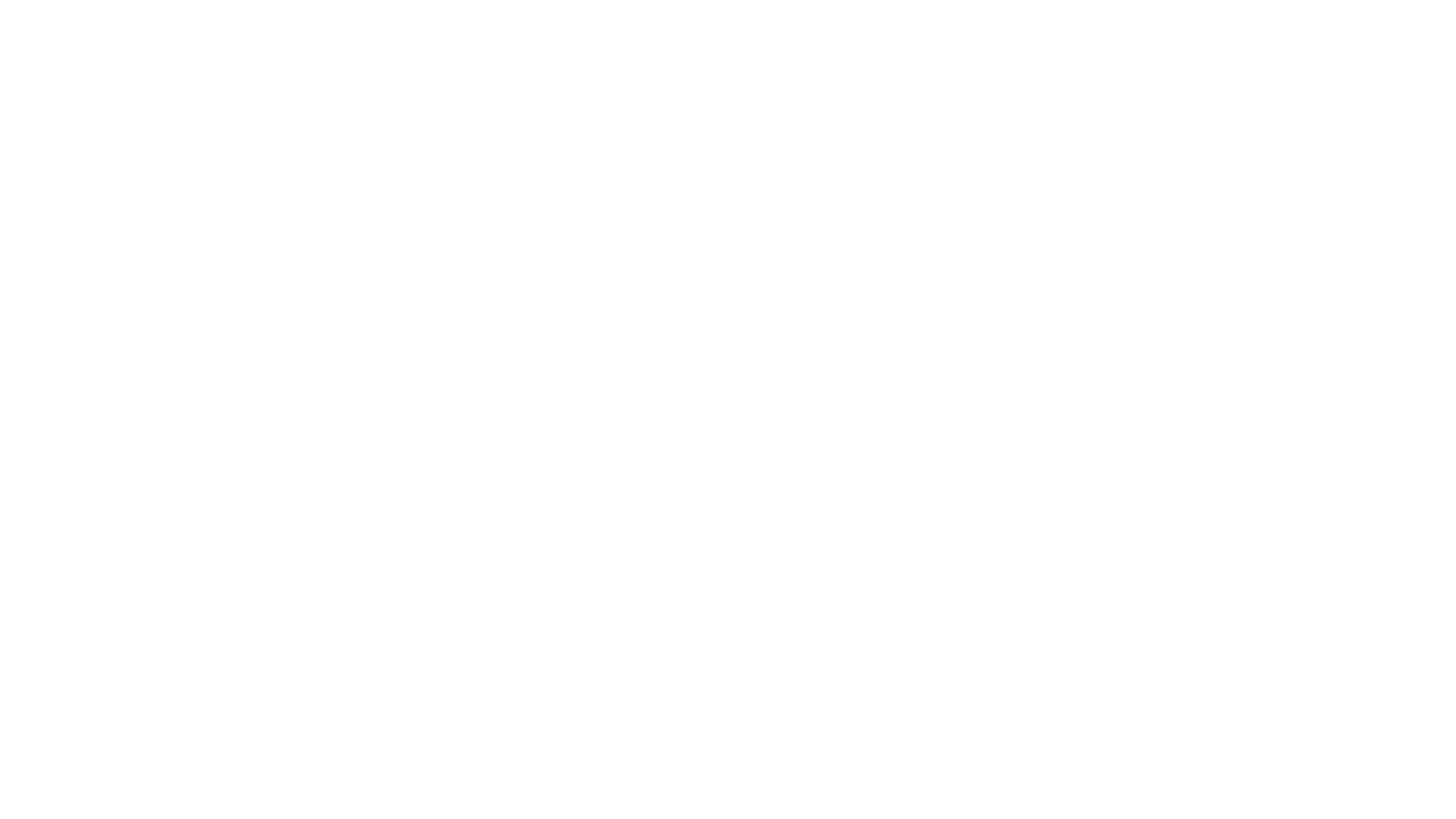 Flashdrive: SSD — DAOnline