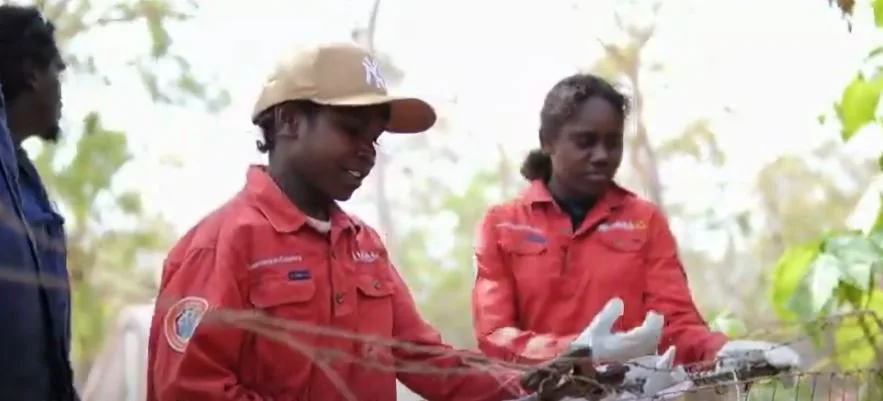 Learning on Country — Mimal Land Management