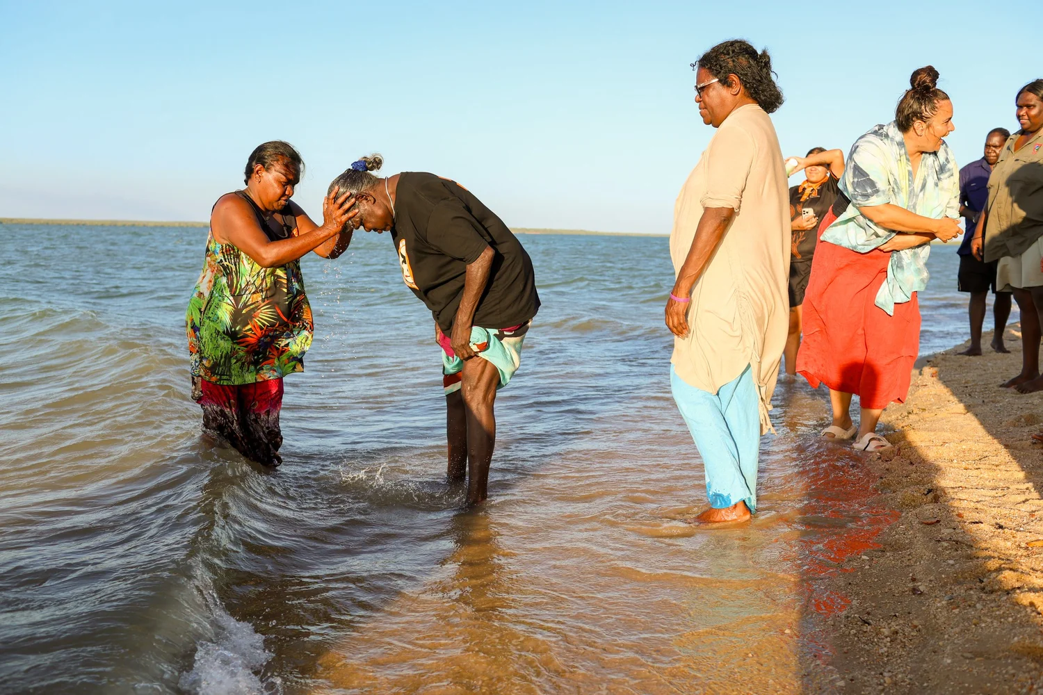 Mimal Land Management