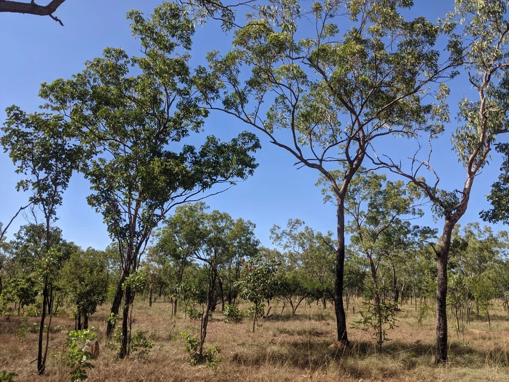 Strong Women for Healthy Country Network — Mimal Land Management