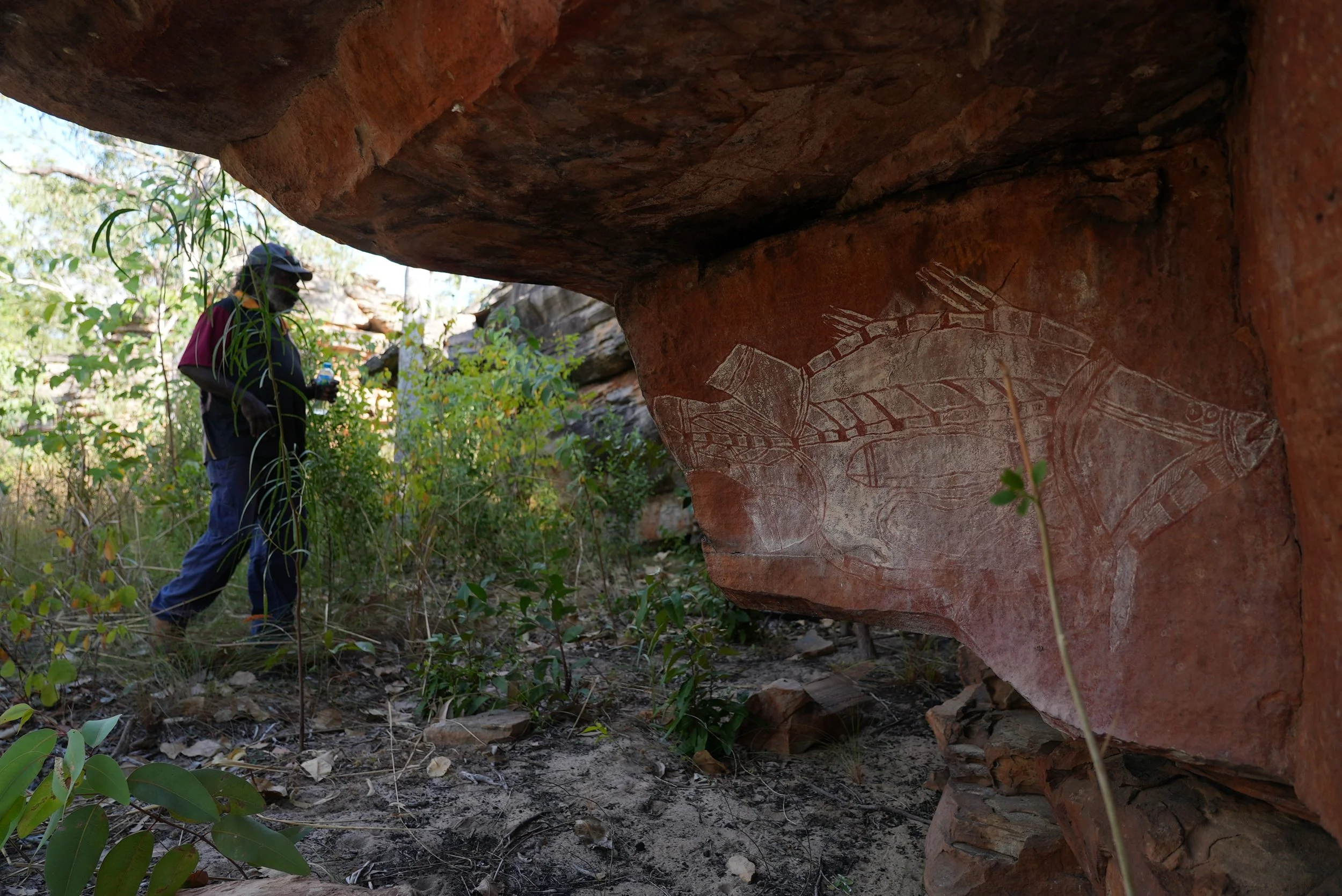 Special places — Mimal Land Management