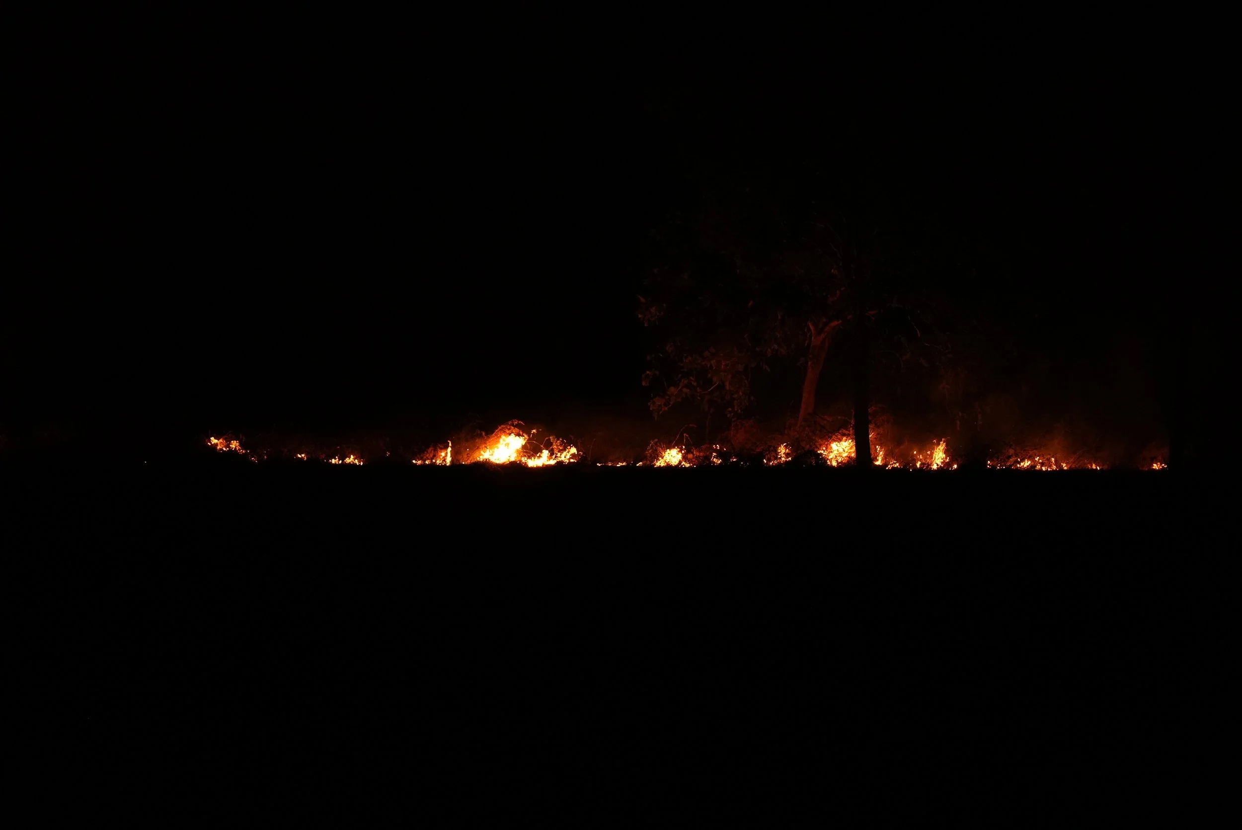 Mimal Land Management