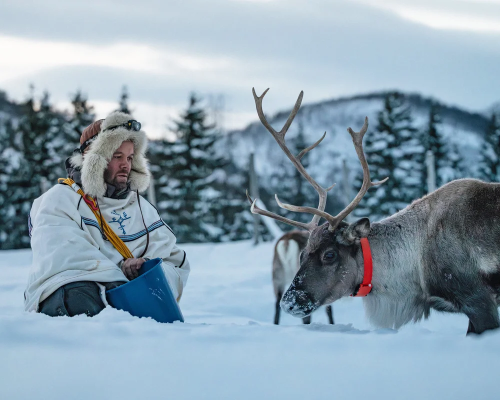 Arctic Adventures: Sami Culture, Reindeer Tours, Arctic Floating ...